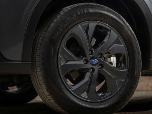 Buy Genuine Wheel | Subaru Online Parts