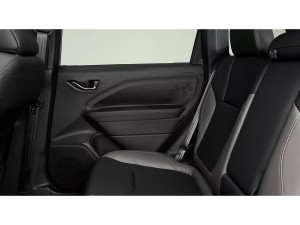 Buy Genuine Door Protector | Subaru Online Parts