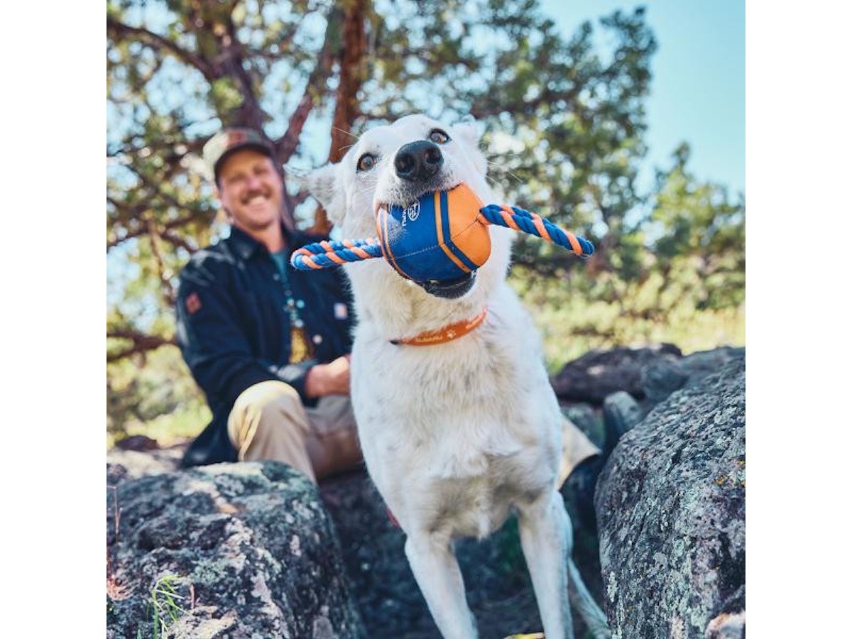 Subaru Gear Dog Toy Tug And Play Rope And Ball Orange Blue With Subaru ...