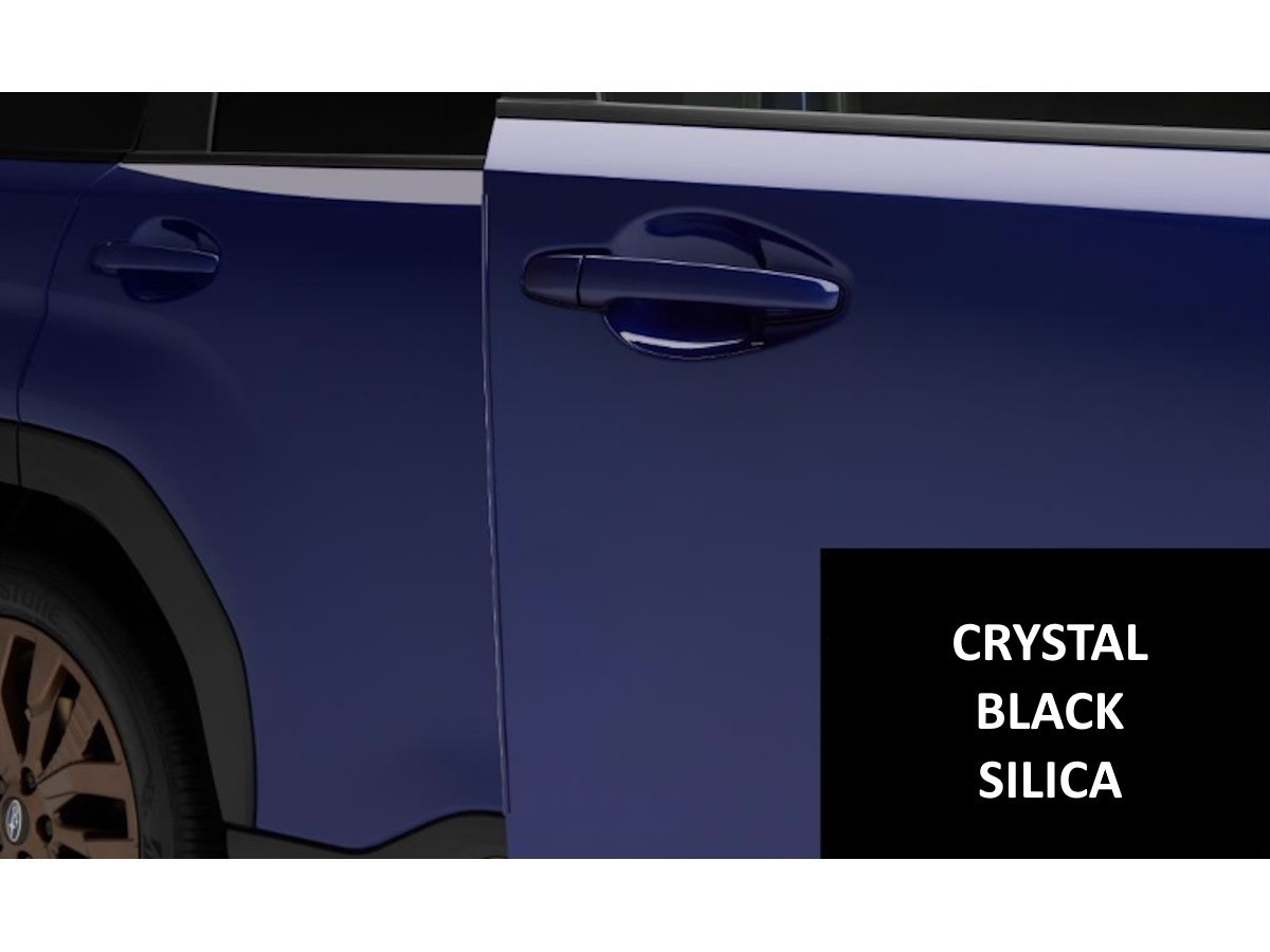 Subaru Door Edge Guards Kit Of Four In Crystal Black Silica ...