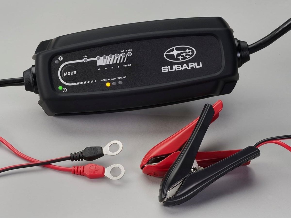 Battery charger and maintainer for car store