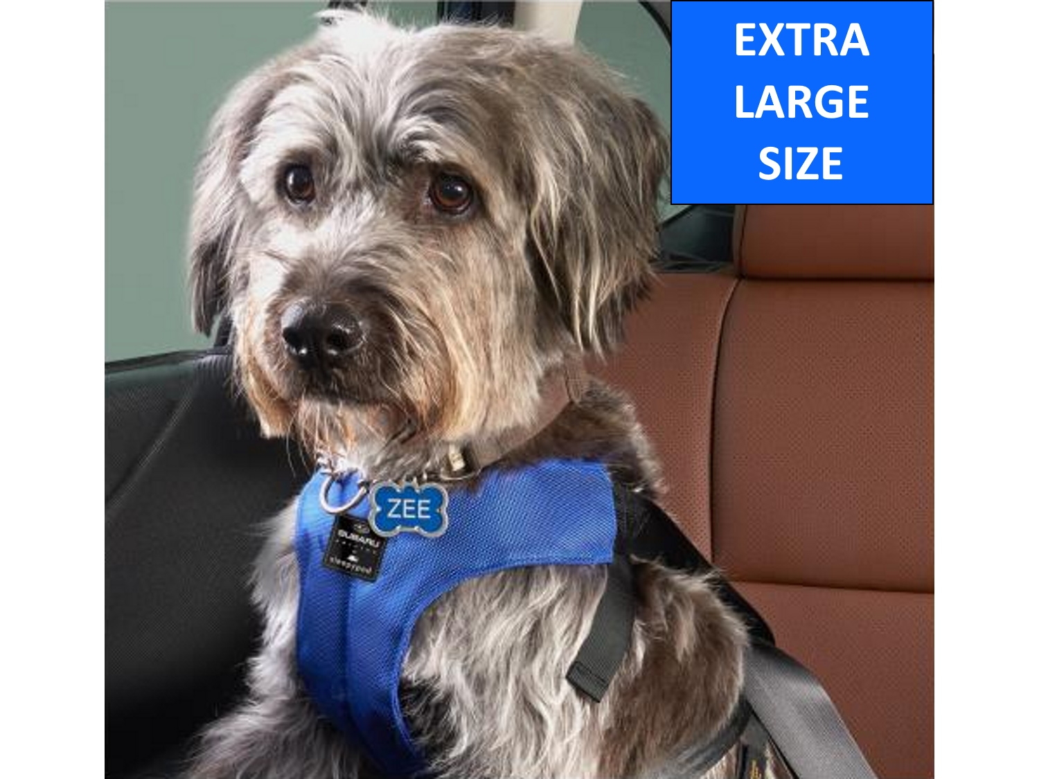 Genuine Subaru Interior Accessories | Subaru Online Parts